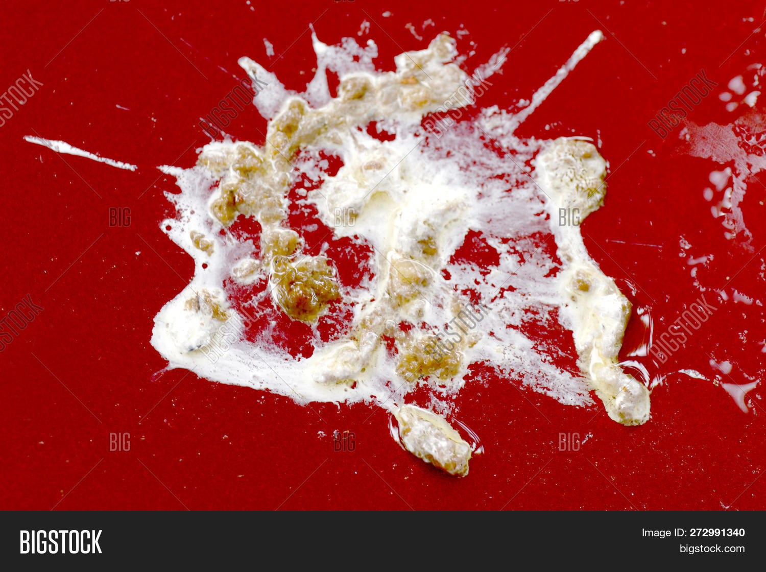 Bird Shit, Drop Bird Image & Photo (Free Trial) | Bigstock