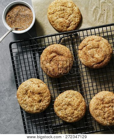 Snickerdoodle Images, Illustrations & Vectors (Free) - Bigstock