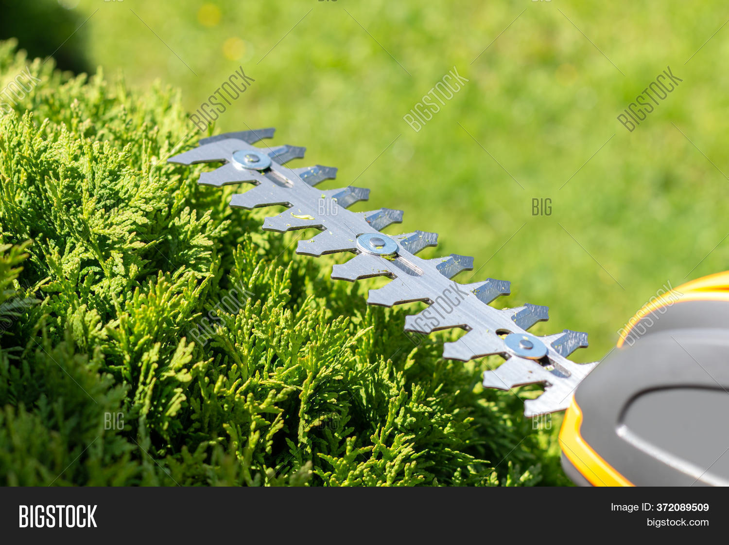 Steel Short Blades Image & Photo (Free Trial) | Bigstock