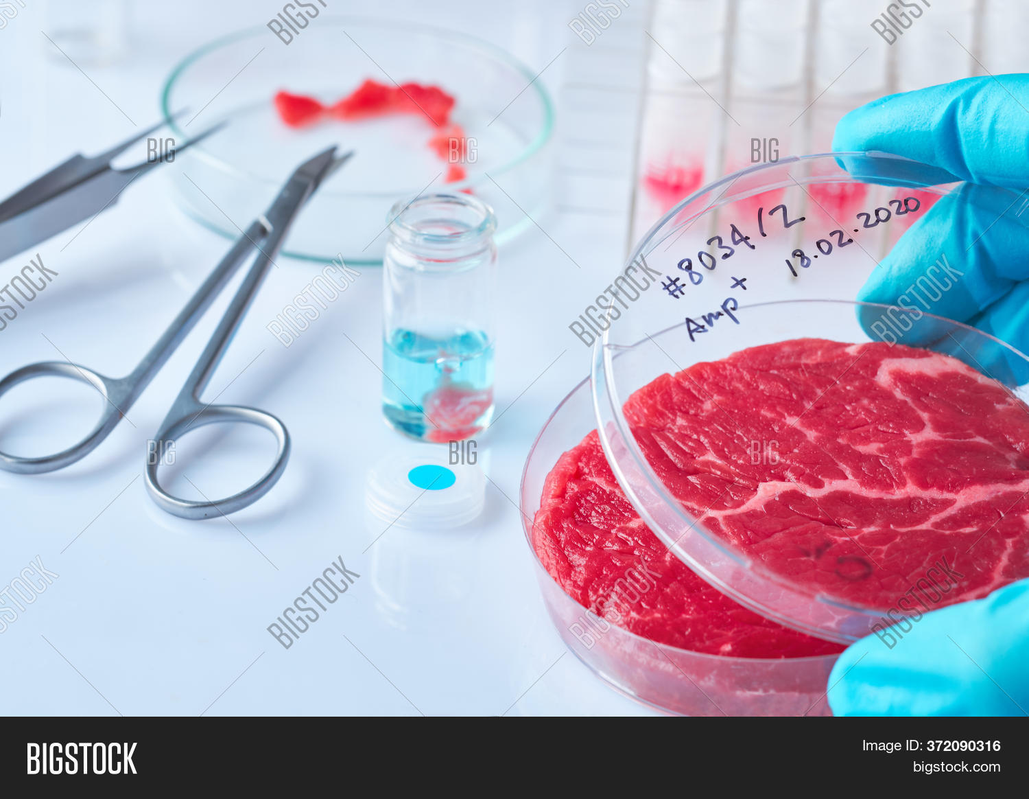 Meat Sample Open Image & Photo (Free Trial) | Bigstock