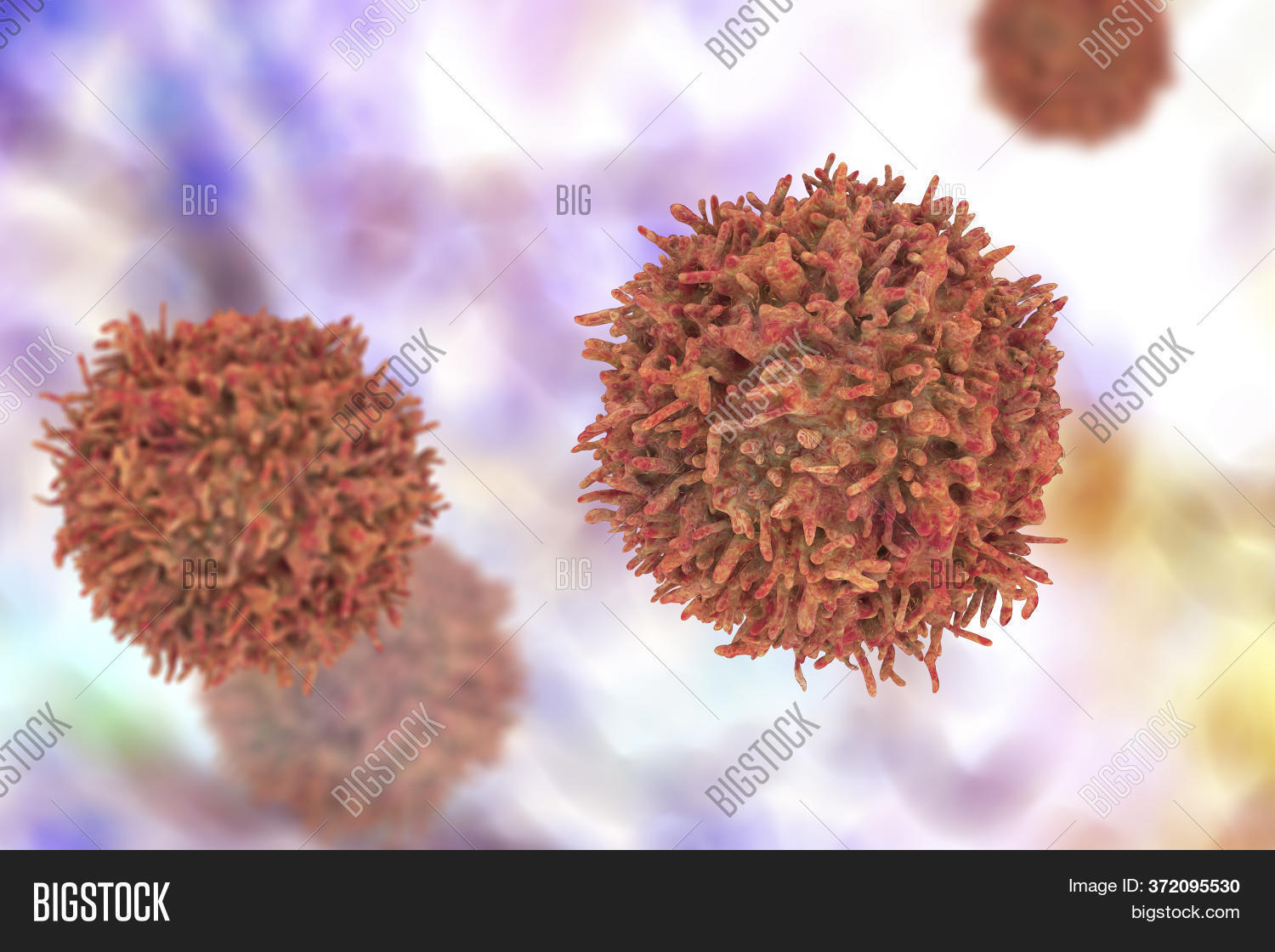 B-lymphocyte, B-cell, Image & Photo (Free Trial) | Bigstock