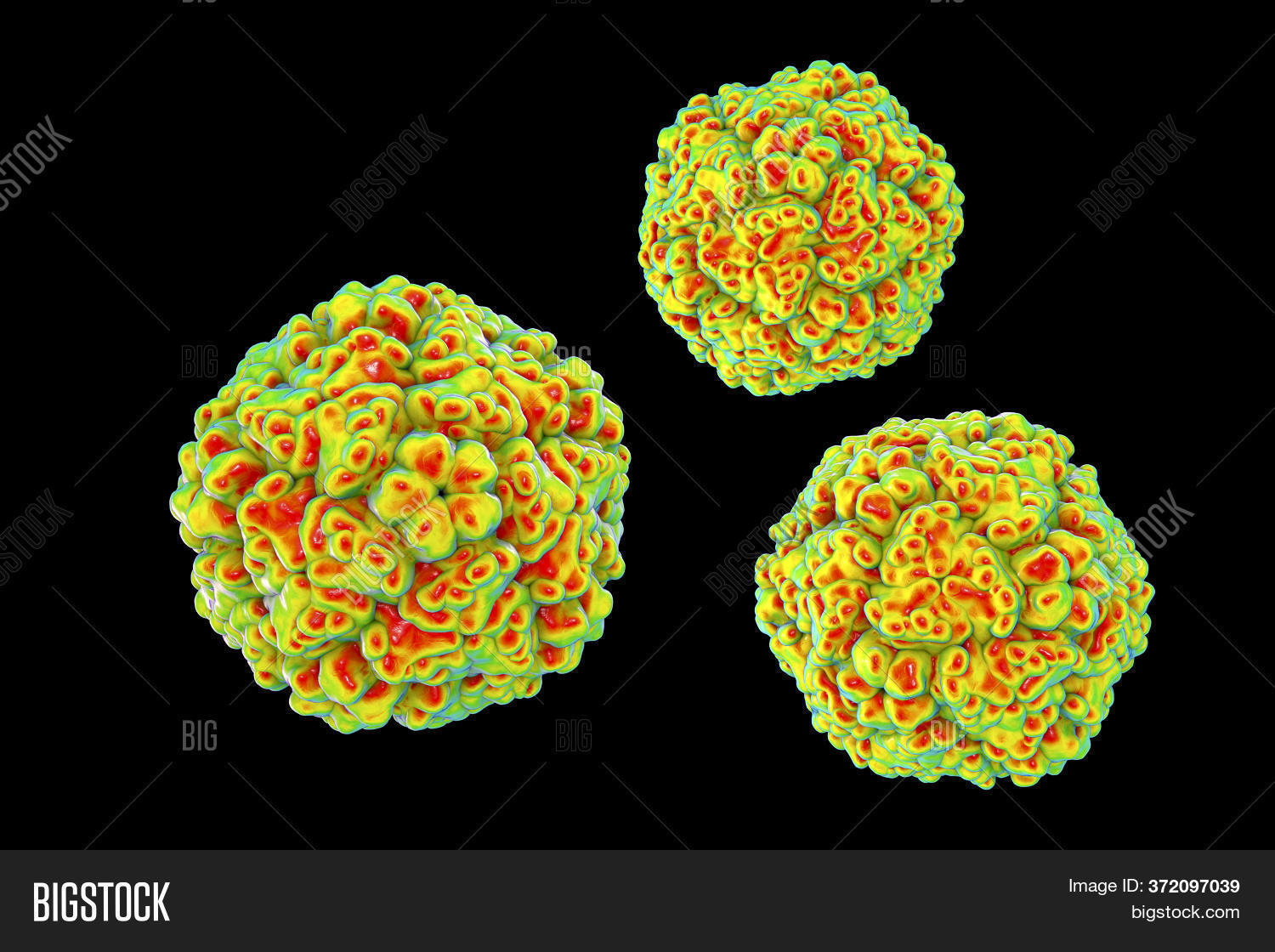 Enteroviruses, Group Image & Photo (Free Trial) | Bigstock