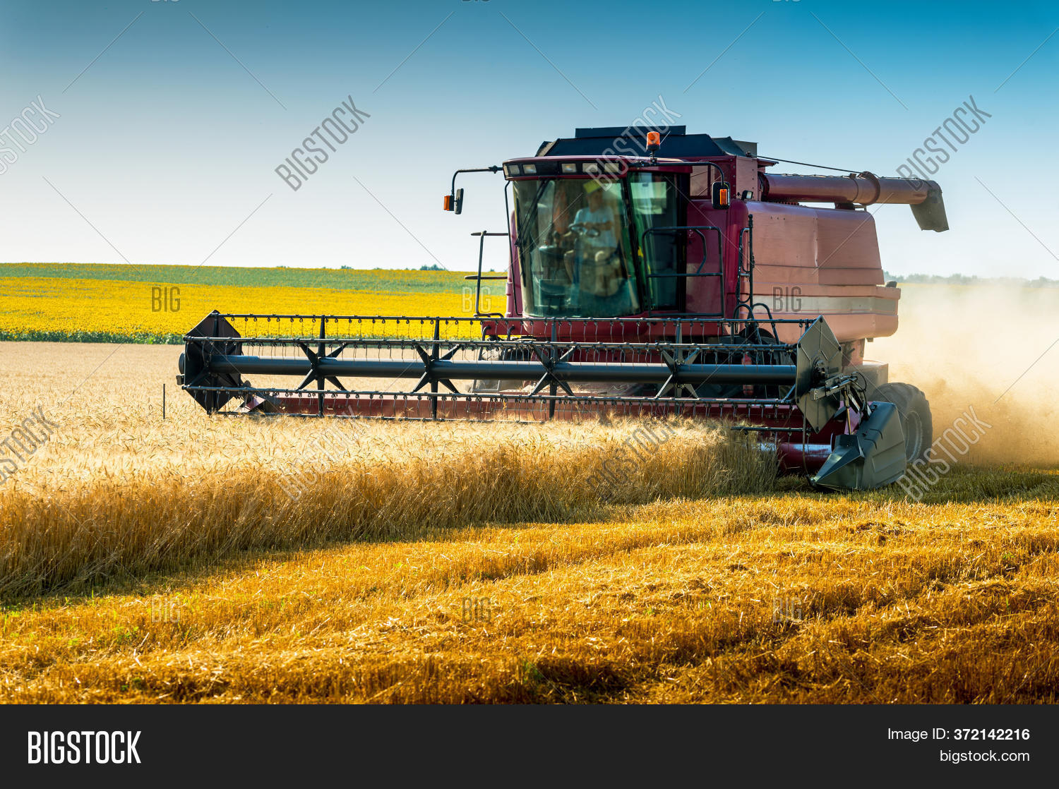 Harvester Wheat Field Image & Photo (Free Trial) | Bigstock