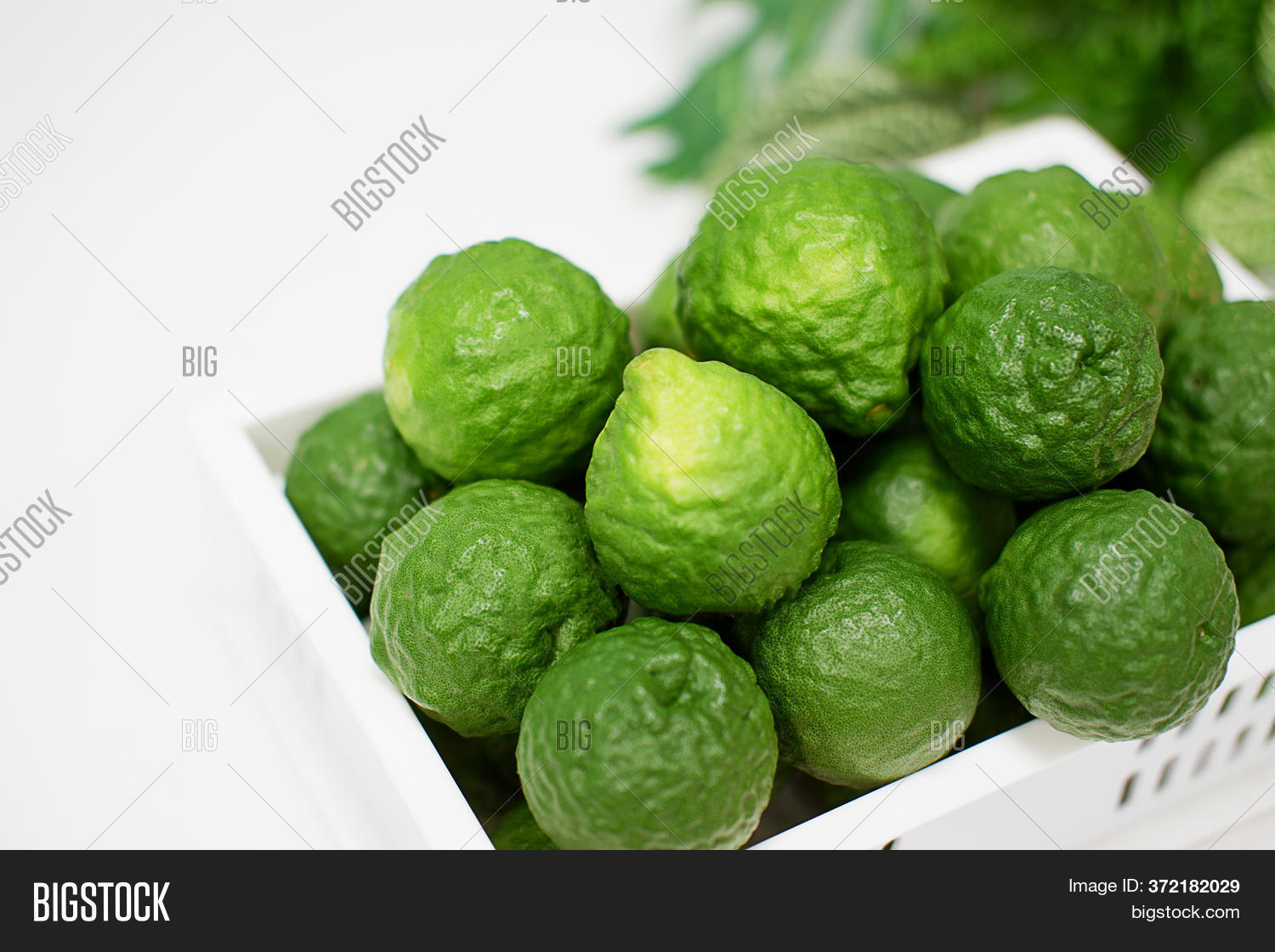 Bergamot, Green Fruit Image & Photo (Free Trial) | Bigstock