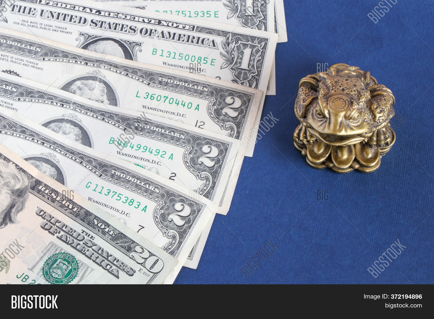 Three-toed Toad Image & Photo (Free Trial) | Bigstock
