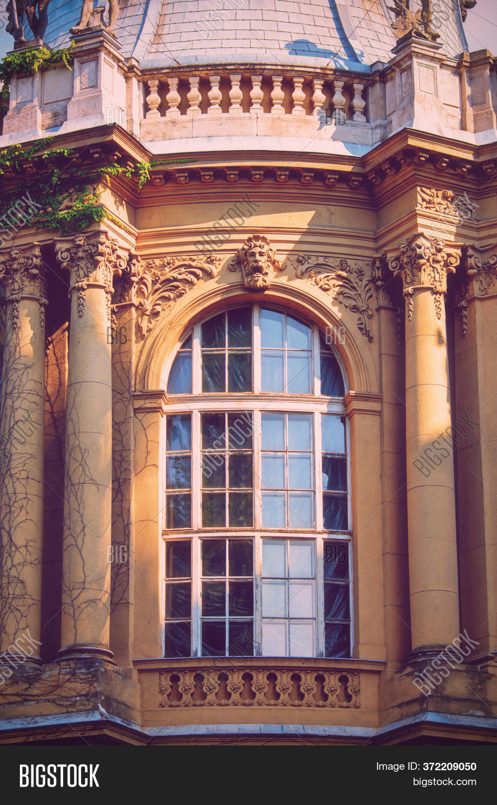 Arched Window Image & Photo (Free Trial) | Bigstock