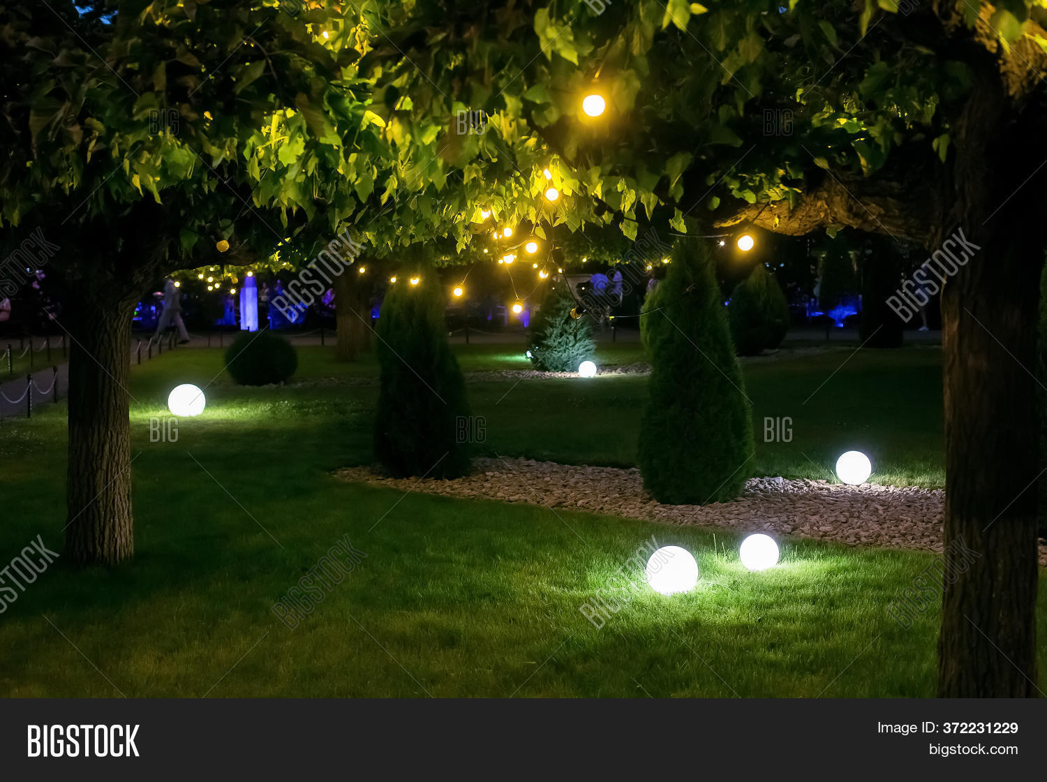 Illumination Backyard Image & Photo (Free Trial) | Bigstock
