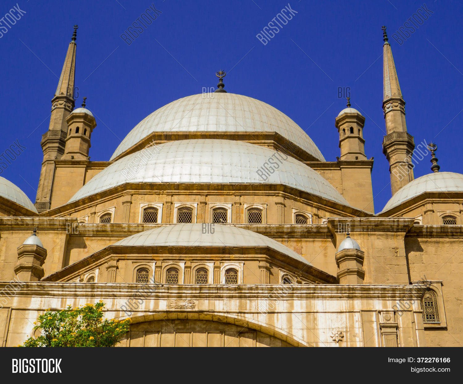 Mosque Muhammad Ali, Image & Photo (Free Trial) | Bigstock