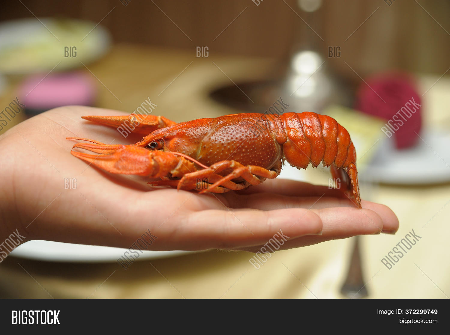 Boiled Crayfish On Arm Image & Photo (Free Trial) | Bigstock