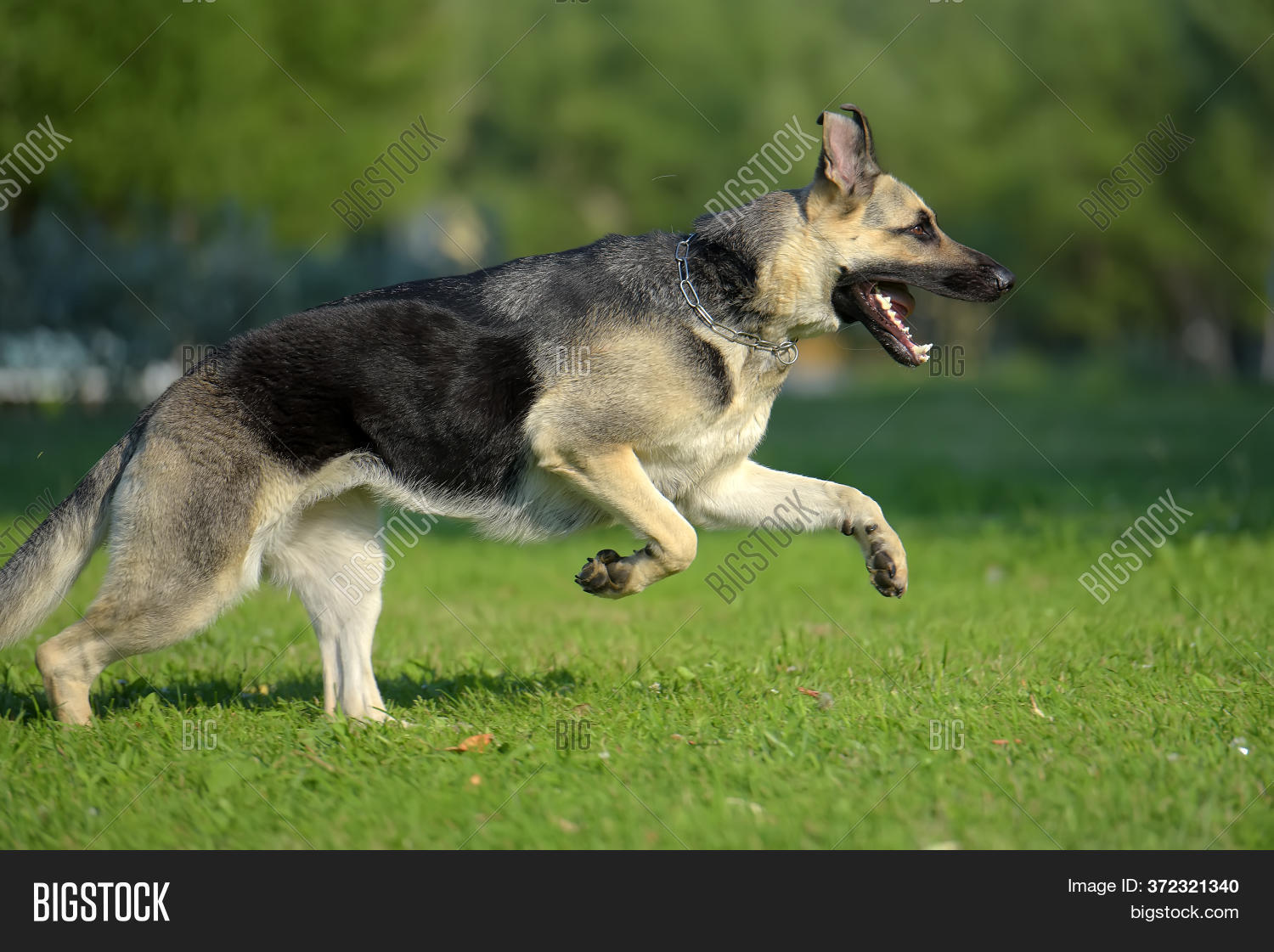 Eastern European Image & Photo (Free Trial) | Bigstock