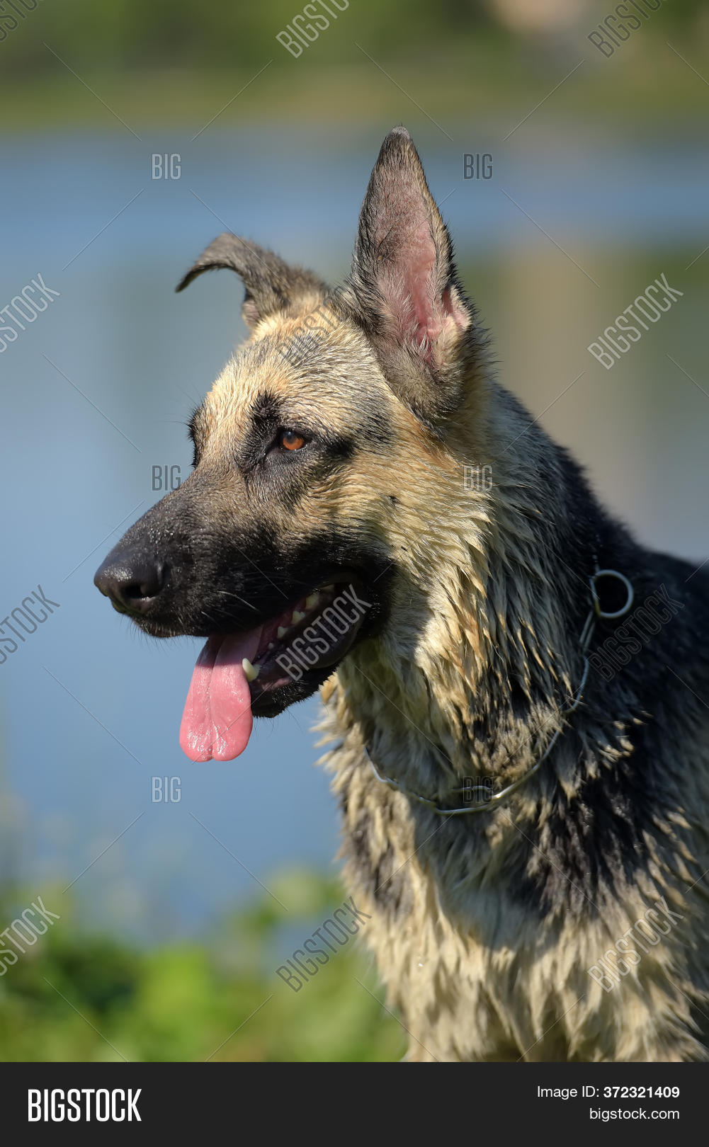 Eastern European Image & Photo (Free Trial) | Bigstock