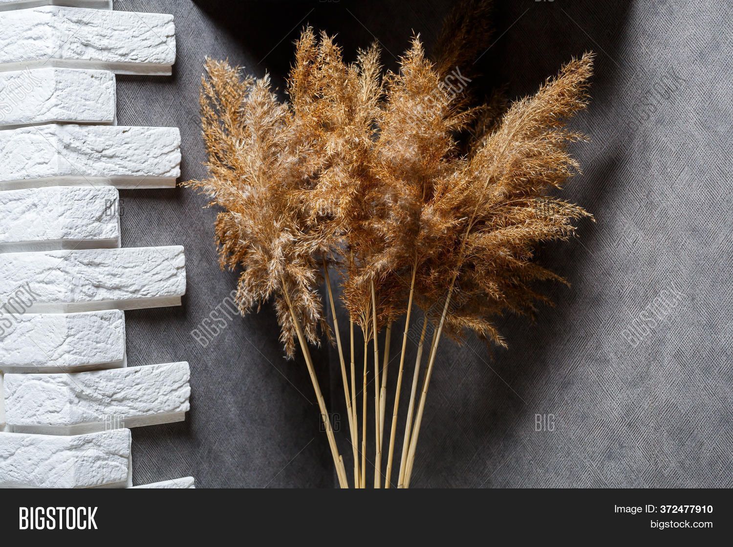 Dried Reeds Home Decor Image & Photo (Free Trial) | Bigstock