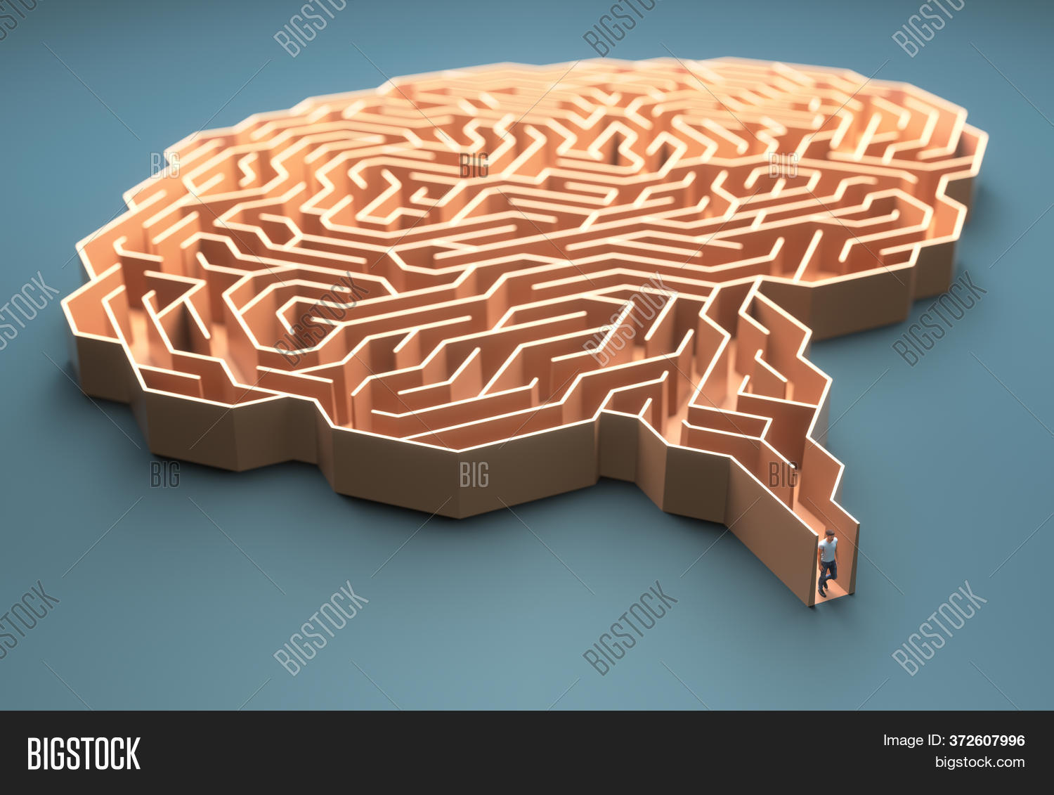Brain Shaped Maze. Image & Photo (Free Trial) | Bigstock
