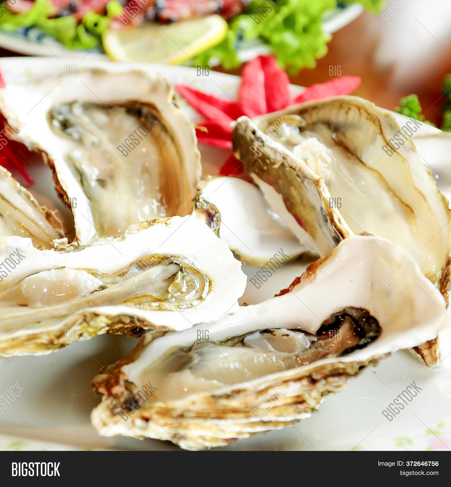 Fresh Oysters Close- Image & Photo (Free Trial) | Bigstock