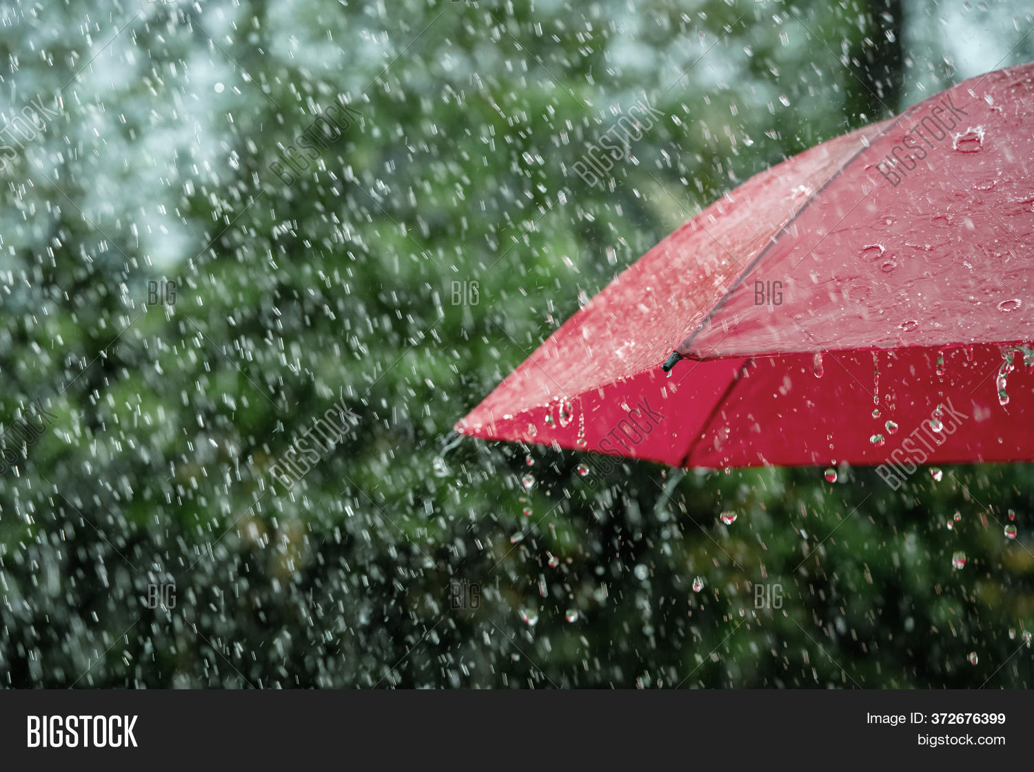 Rain, Close Umbrella Image & Photo (Free Trial) | Bigstock