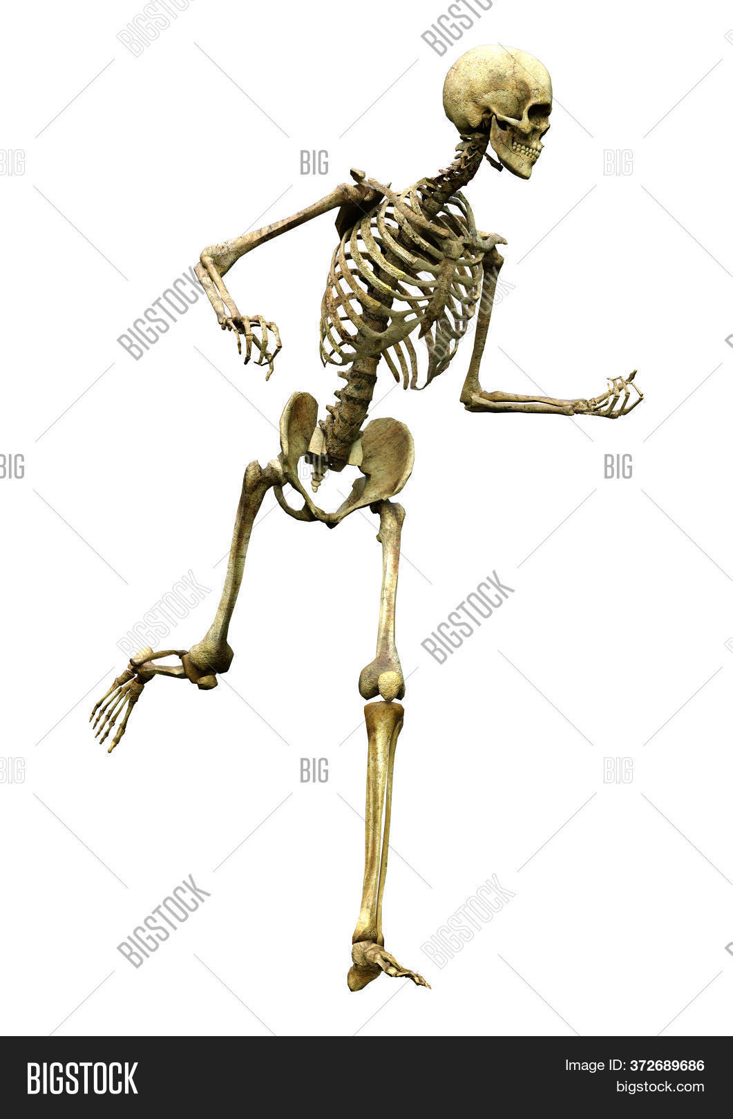 3D Rendering Human Image & Photo (Free Trial) | Bigstock