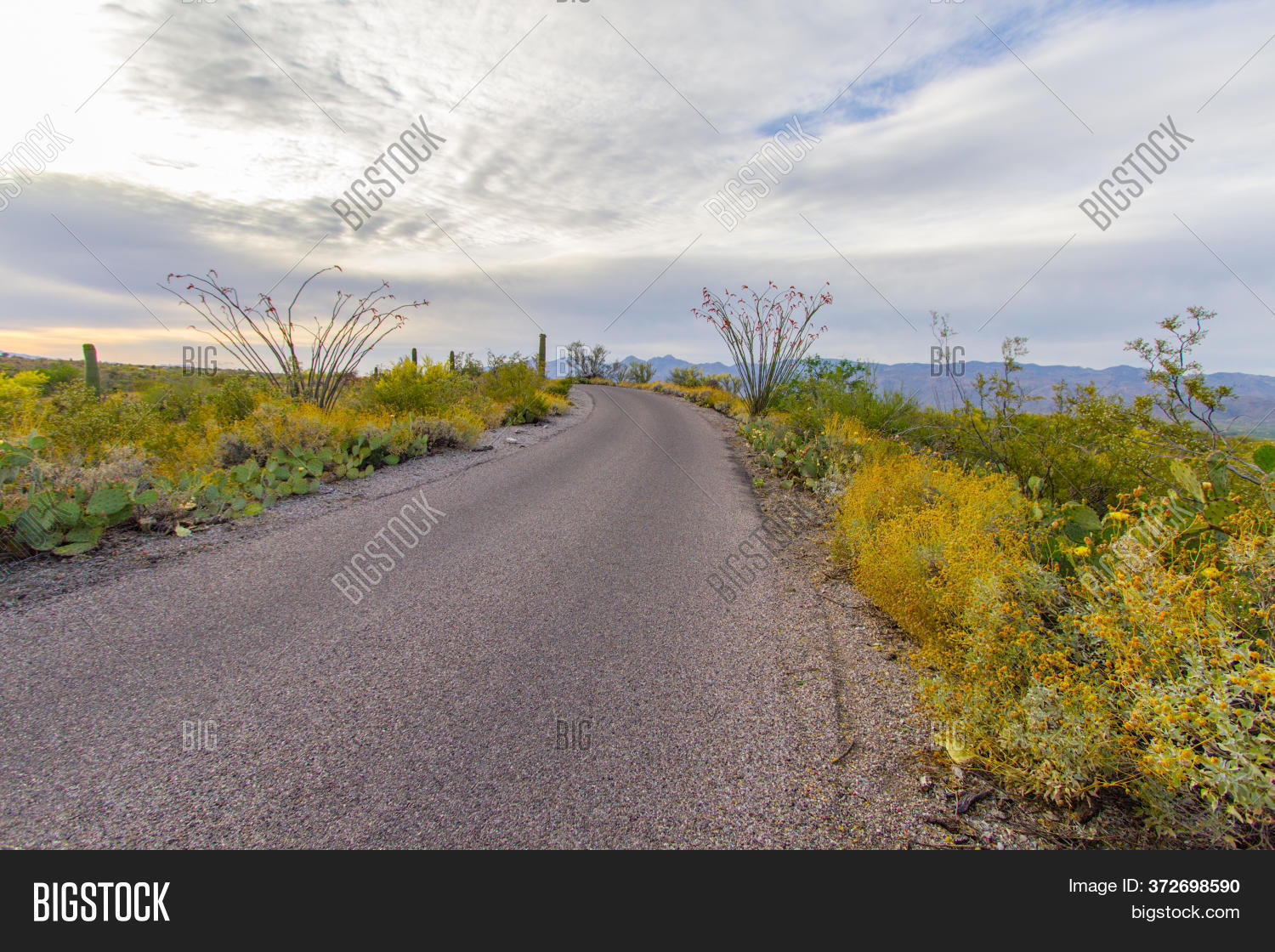 Scenic Desert Drive Image & Photo (Free Trial) | Bigstock