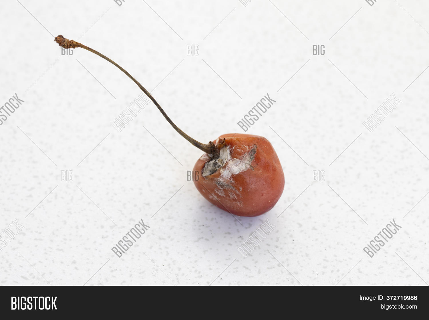 Spoiled Sweet Cherry Image & Photo (Free Trial) | Bigstock