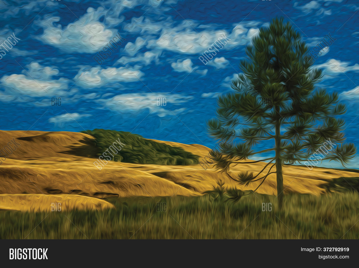 Pine Tree On Shadow Image & Photo (Free Trial) | Bigstock