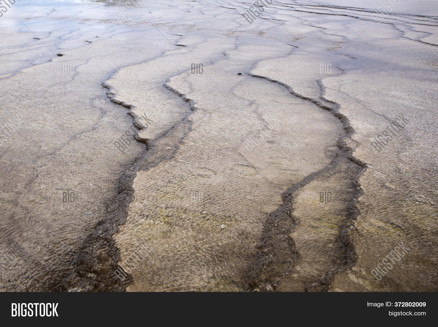 Ground Lines Under Image & Photo (Free Trial) | Bigstock
