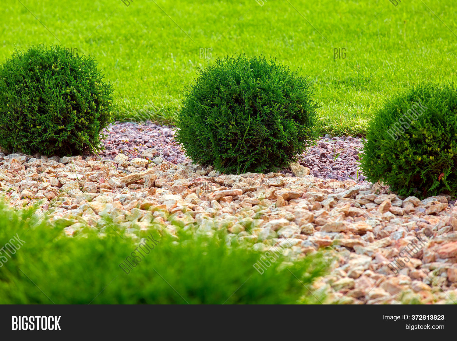 Landscaping Backyard Image & Photo (Free Trial) | Bigstock