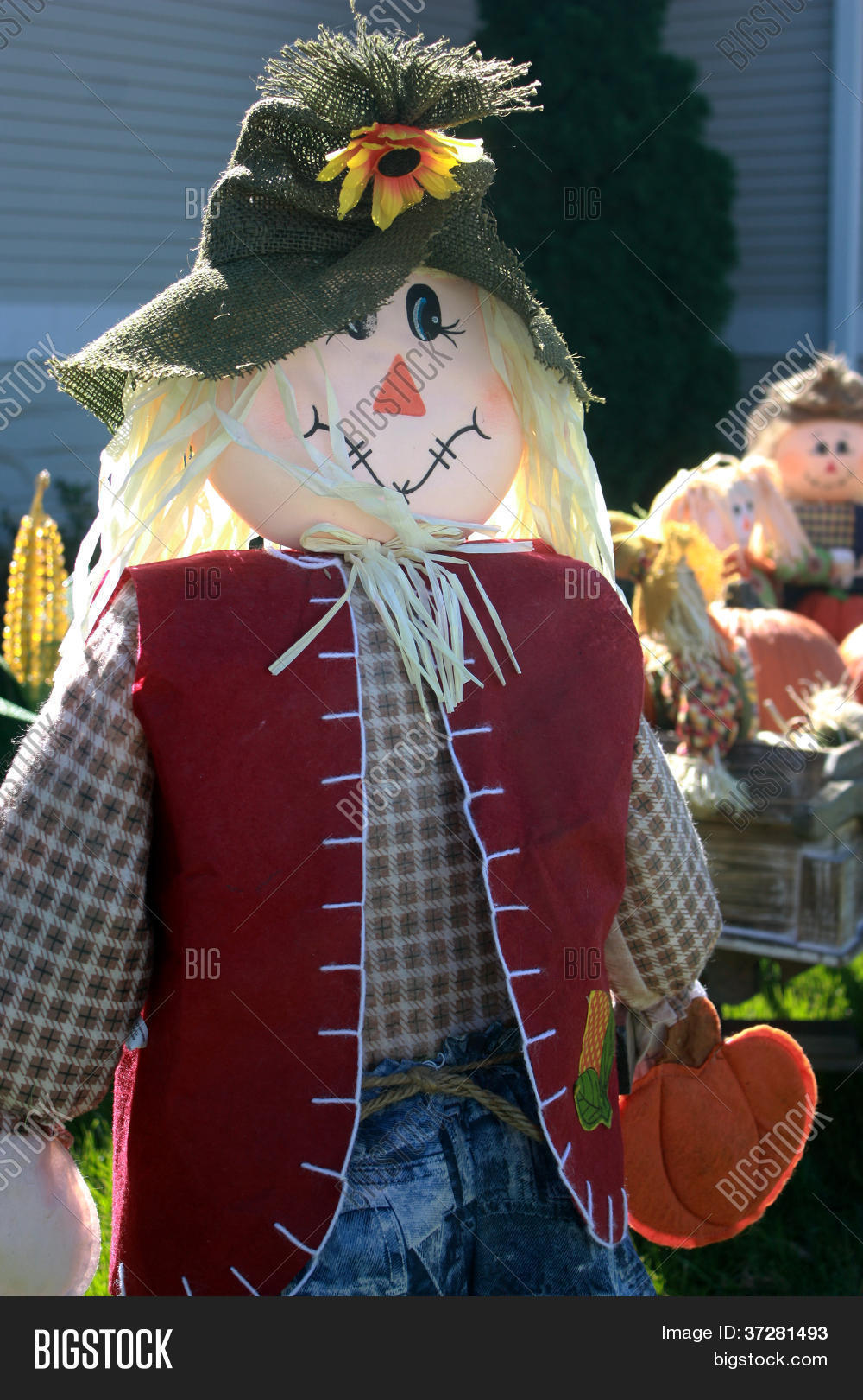 Happy Scarecrow Image & Photo (Free Trial) | Bigstock