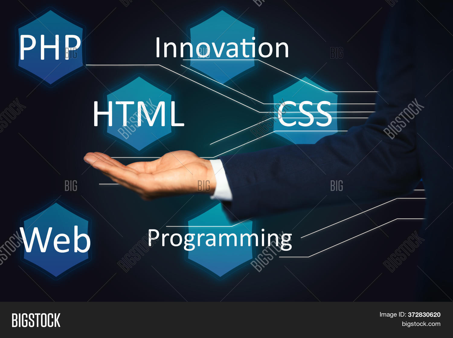 Web Development. Man Image & Photo (Free Trial) | Bigstock