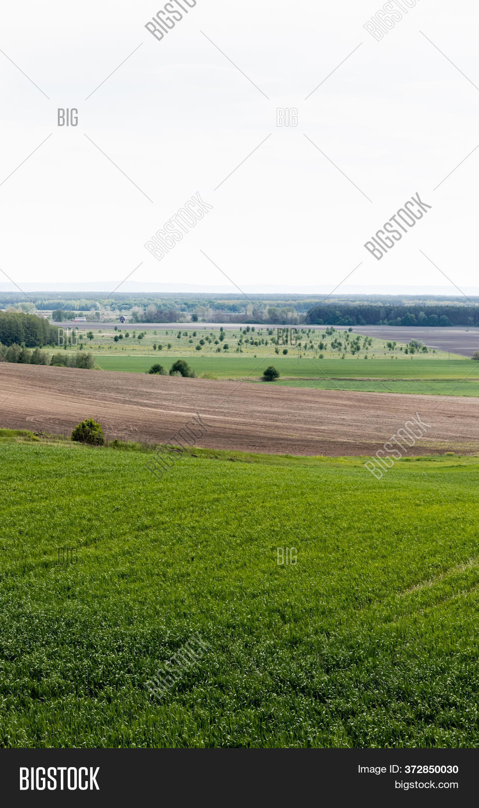 Fresh Grassy Field Image & Photo (Free Trial) | Bigstock