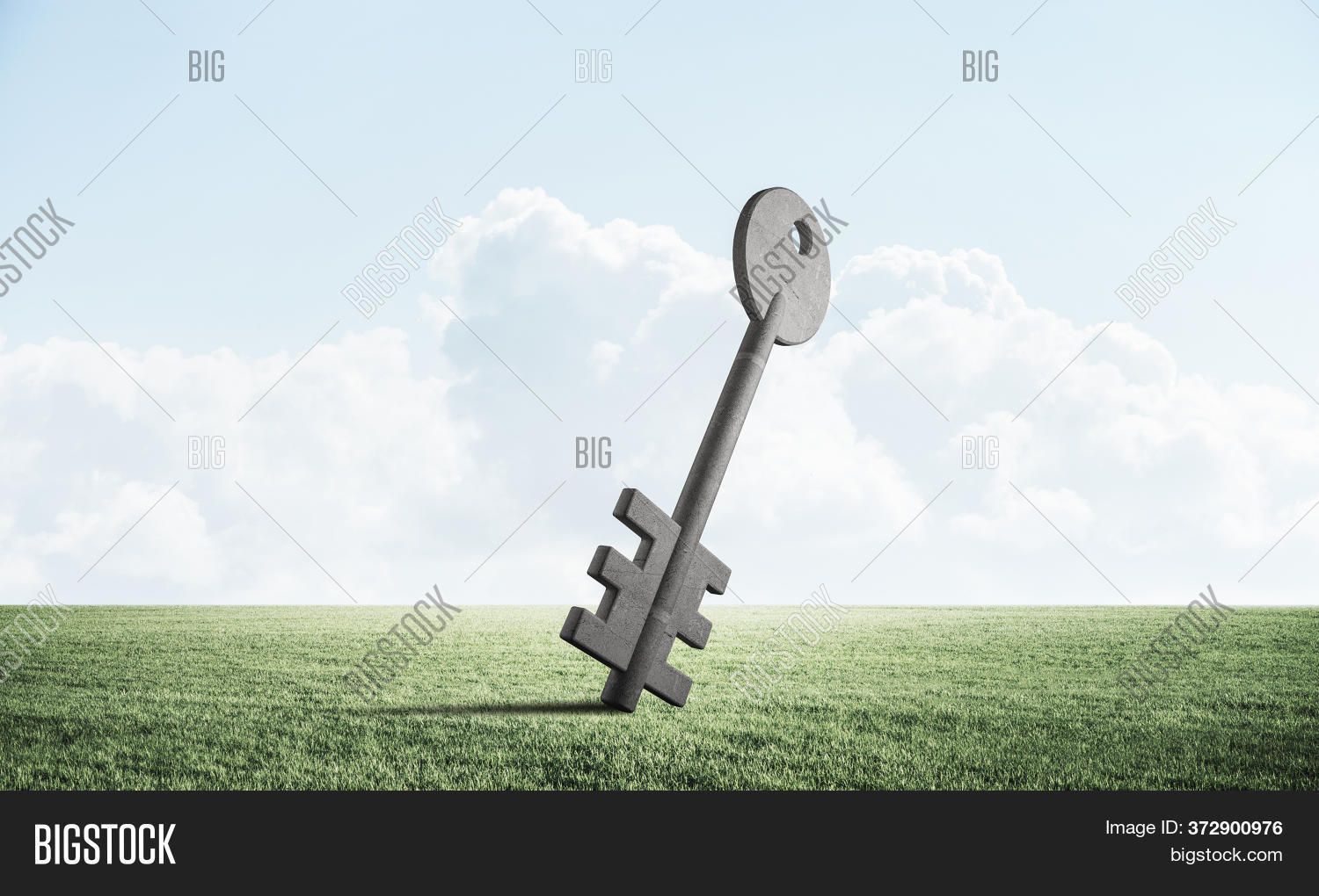 Big House Key On Green Image & Photo (Free Trial) | Bigstock