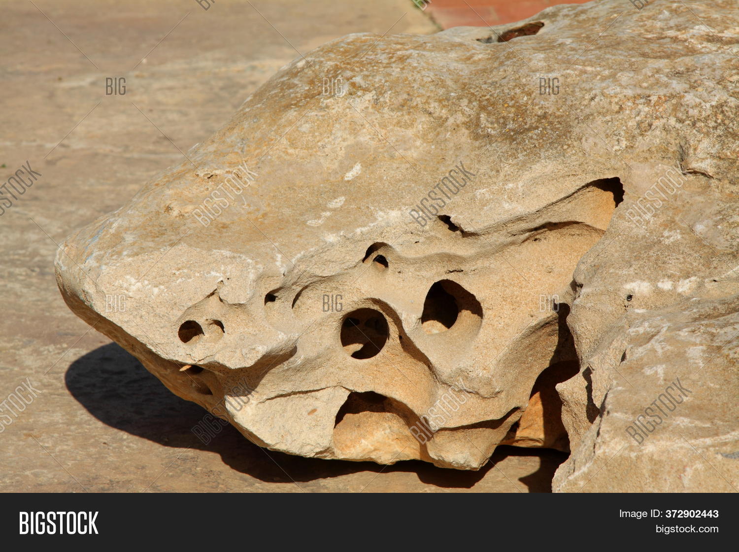 Sea Stone. Mineral Image & Photo (Free Trial) | Bigstock