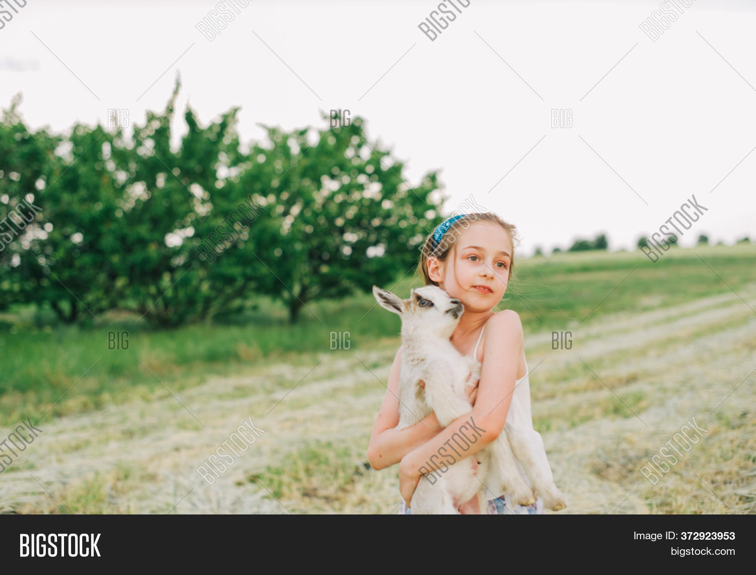 Girl Baby Goat On Farm Image & Photo (Free Trial) | Bigstock