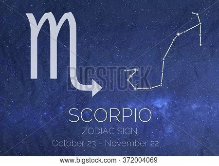 Zodiac Sign - Scorpio Image & Photo (Free Trial) | Bigstock
