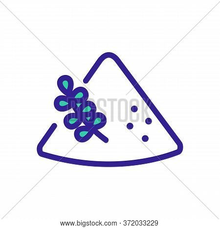 Thyme Plant Branch On Vector & Photo (Free Trial) | Bigstock