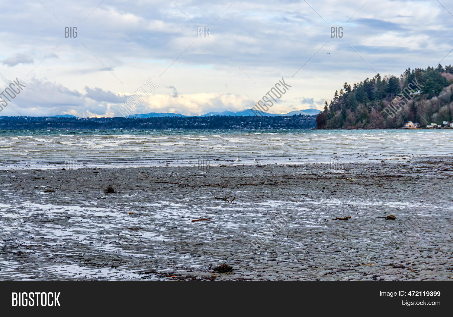 View Puget Sound Image & Photo (Free Trial) | Bigstock