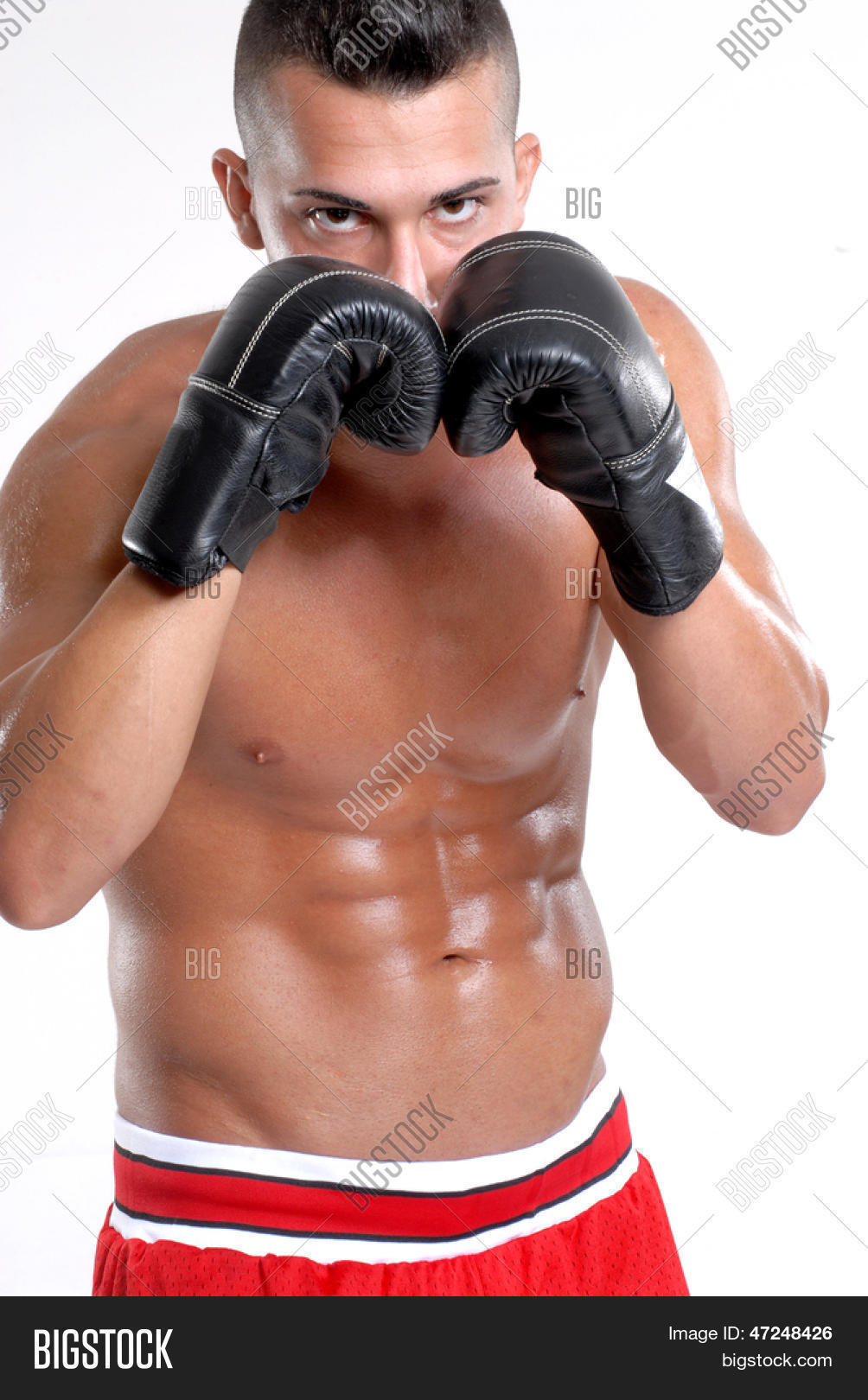 Strong Boxer Portrait Image & Photo (Free Trial) | Bigstock