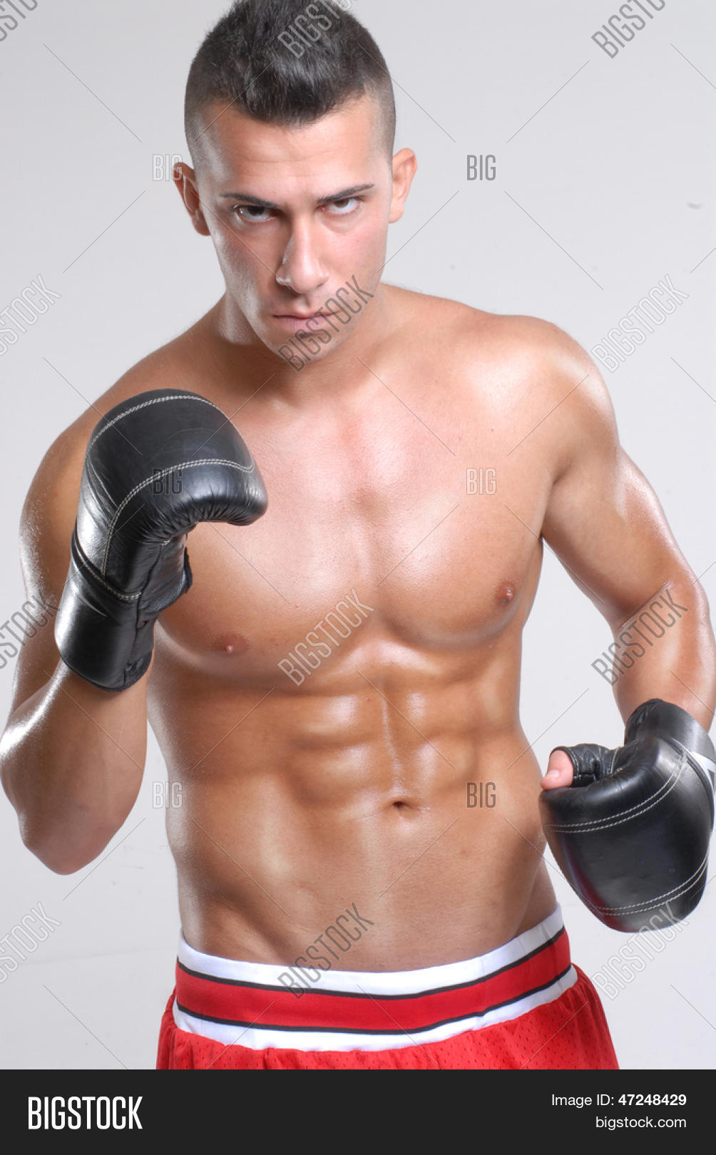 Strong Boxer Portrait Image & Photo (Free Trial) | Bigstock
