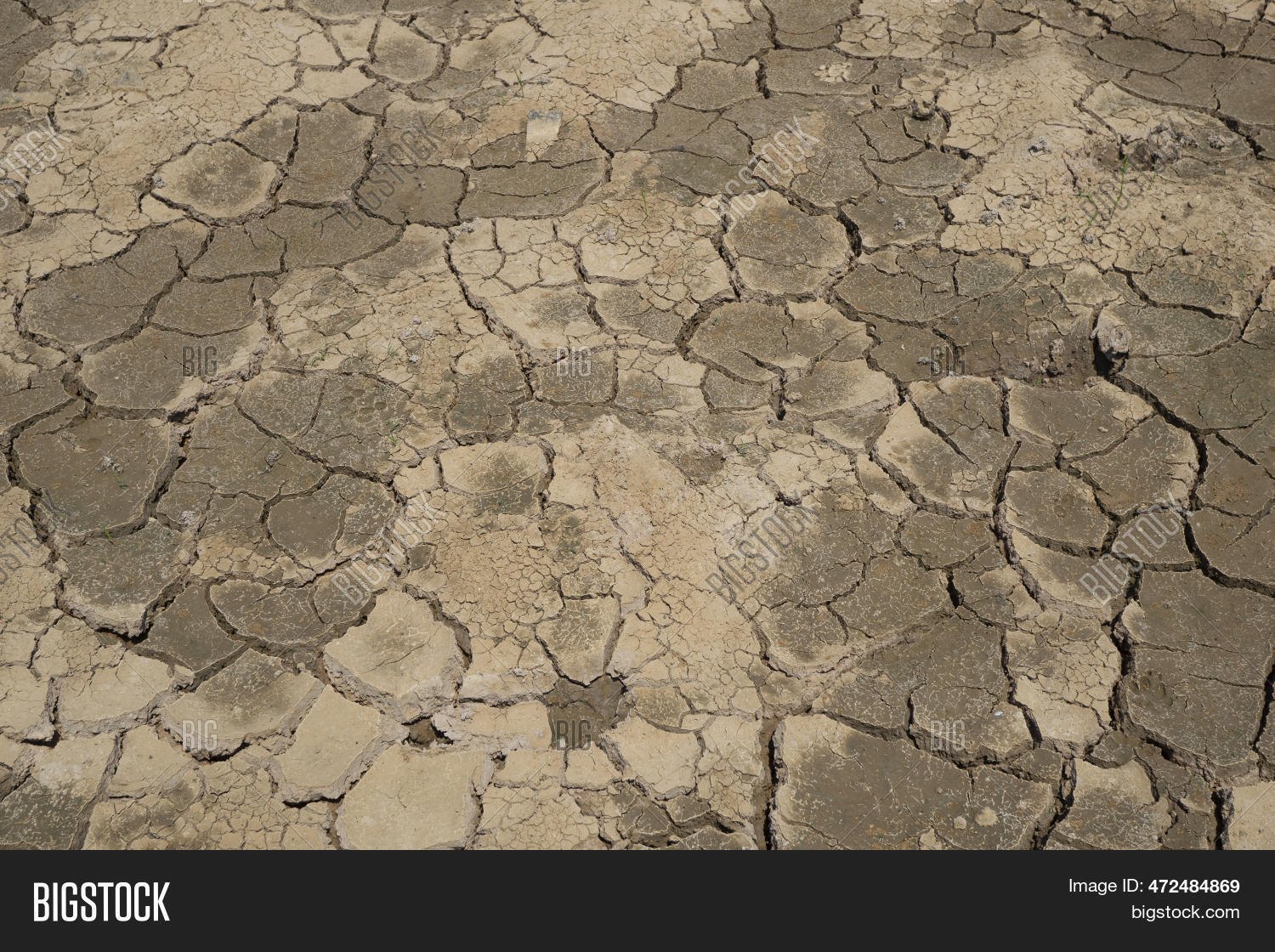 Soil Cracks Rice Image & Photo (Free Trial) | Bigstock