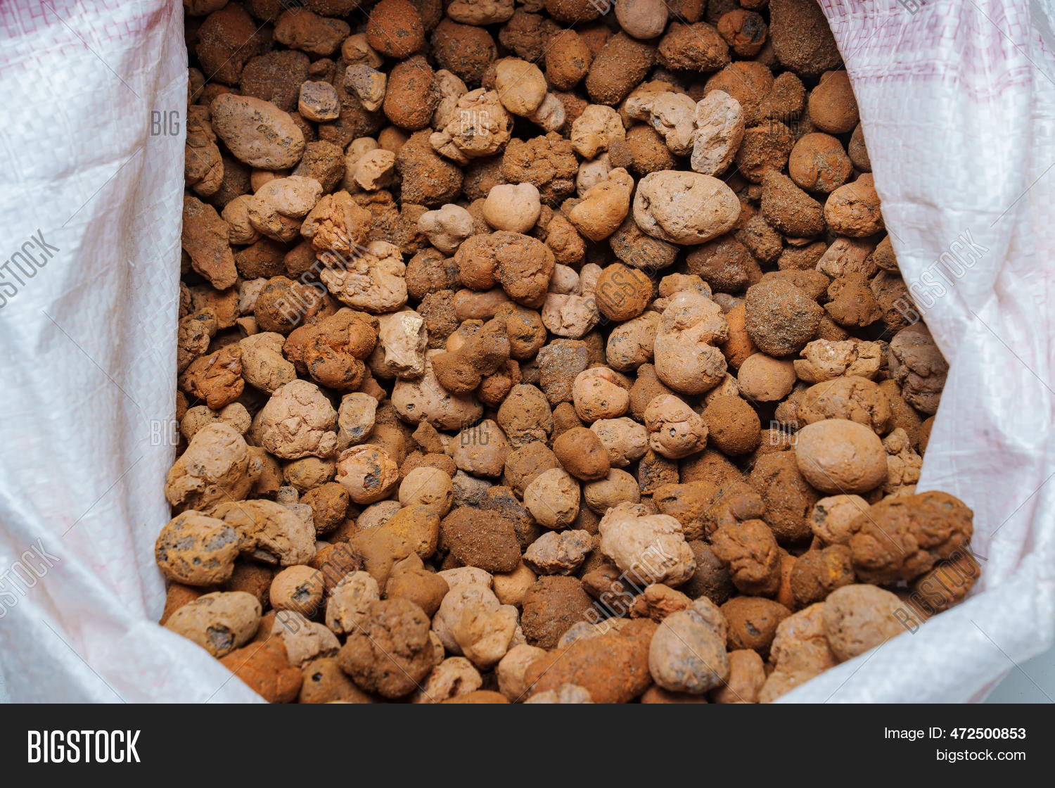 Expanded Clay. Small Image & Photo (Free Trial) | Bigstock