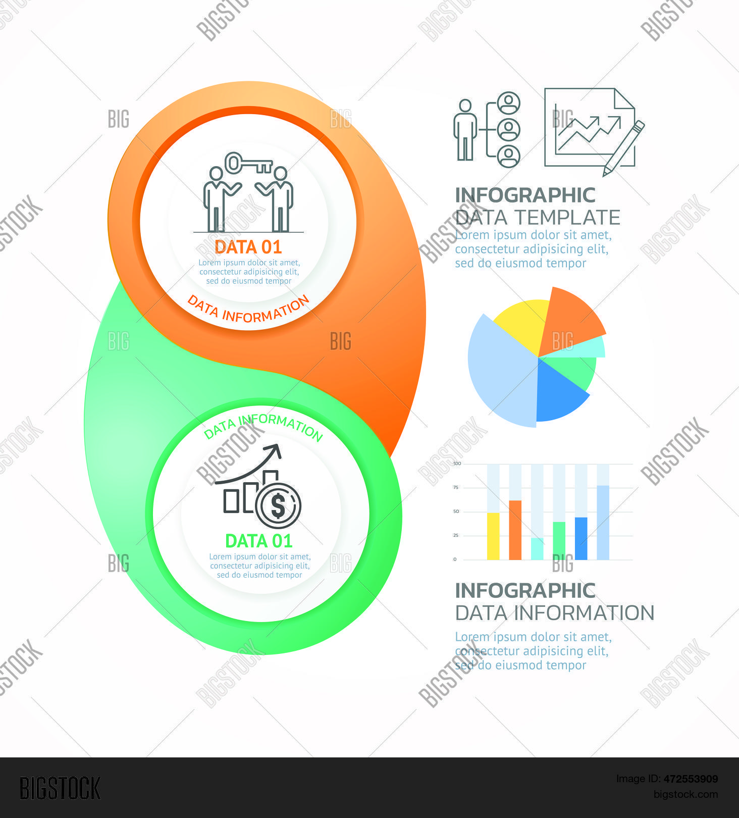 Infographic Circle Vector & Photo (Free Trial) | Bigstock