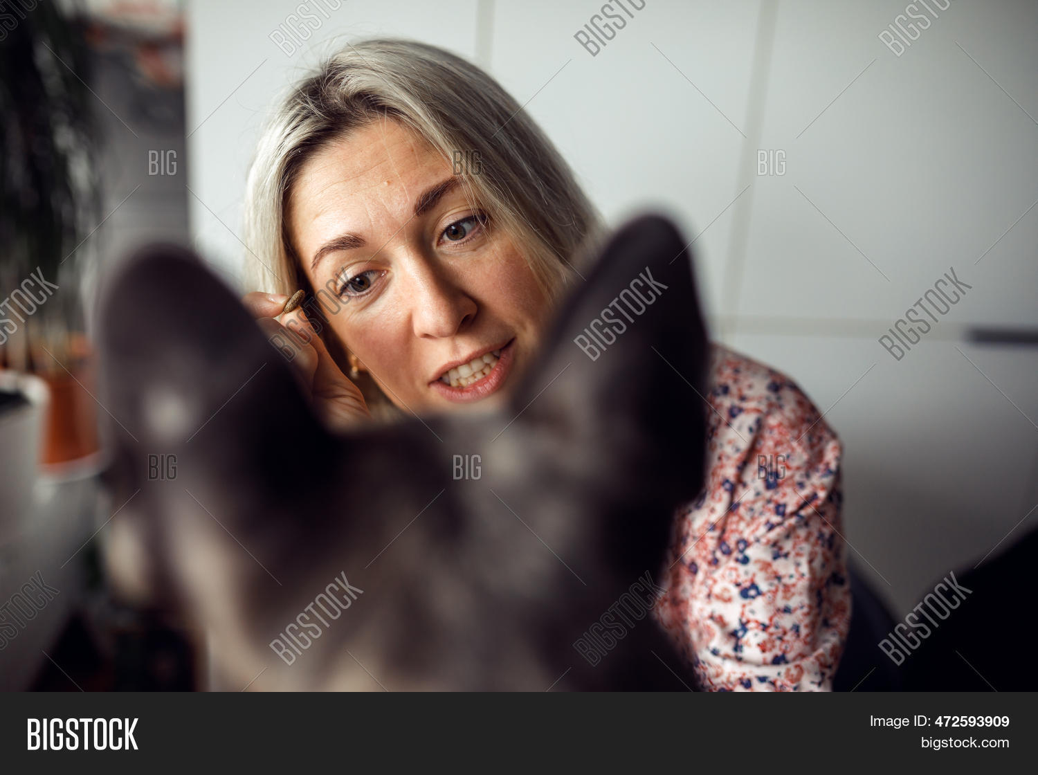 Blonde Woman Carefully Image & Photo (Free Trial) | Bigstock