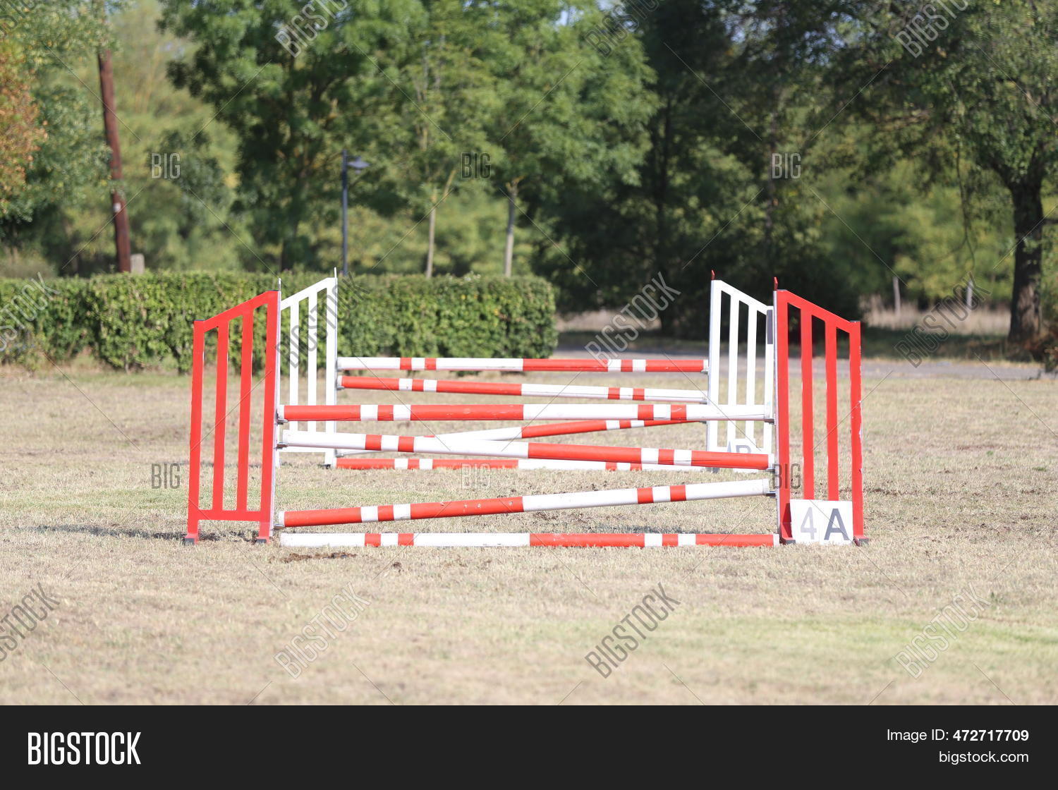 Show Jumping Poles Image & Photo (Free Trial) | Bigstock