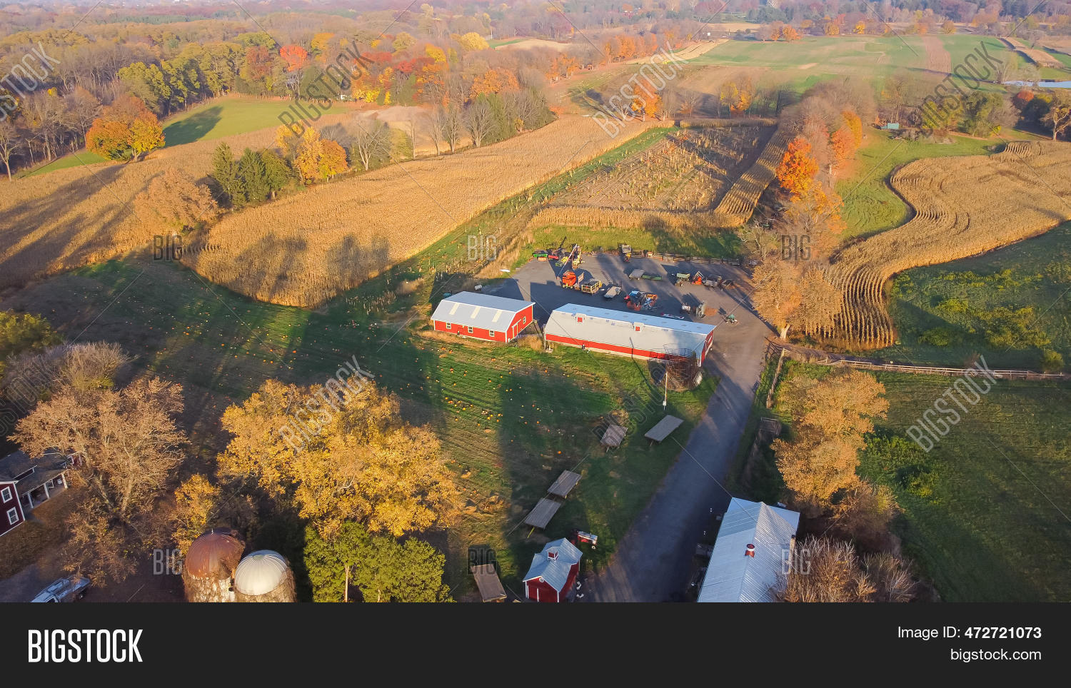 Large Rolling Corn Image & Photo (Free Trial) | Bigstock