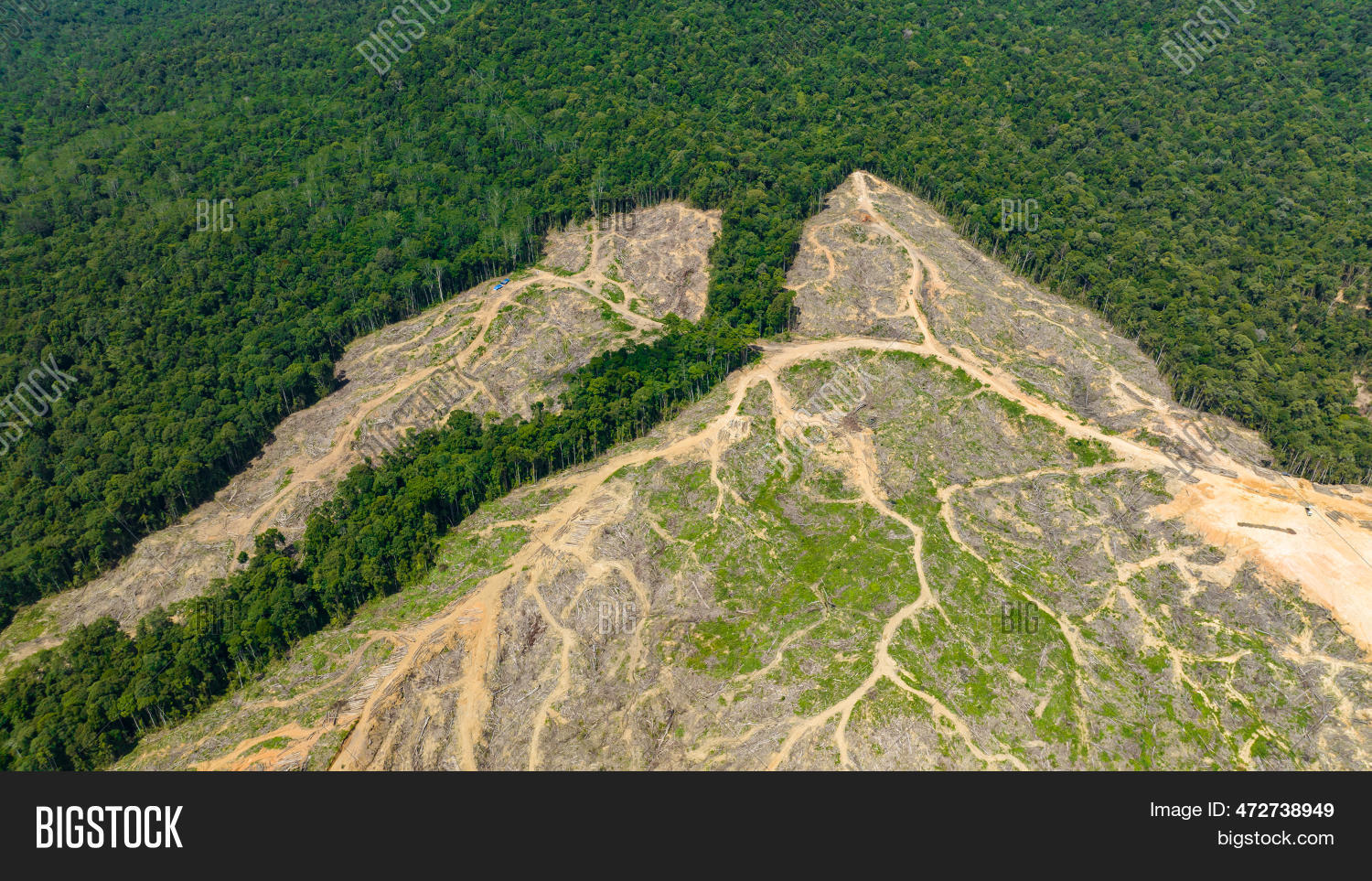 Aerial View Rainforest Image & Photo (Free Trial) | Bigstock