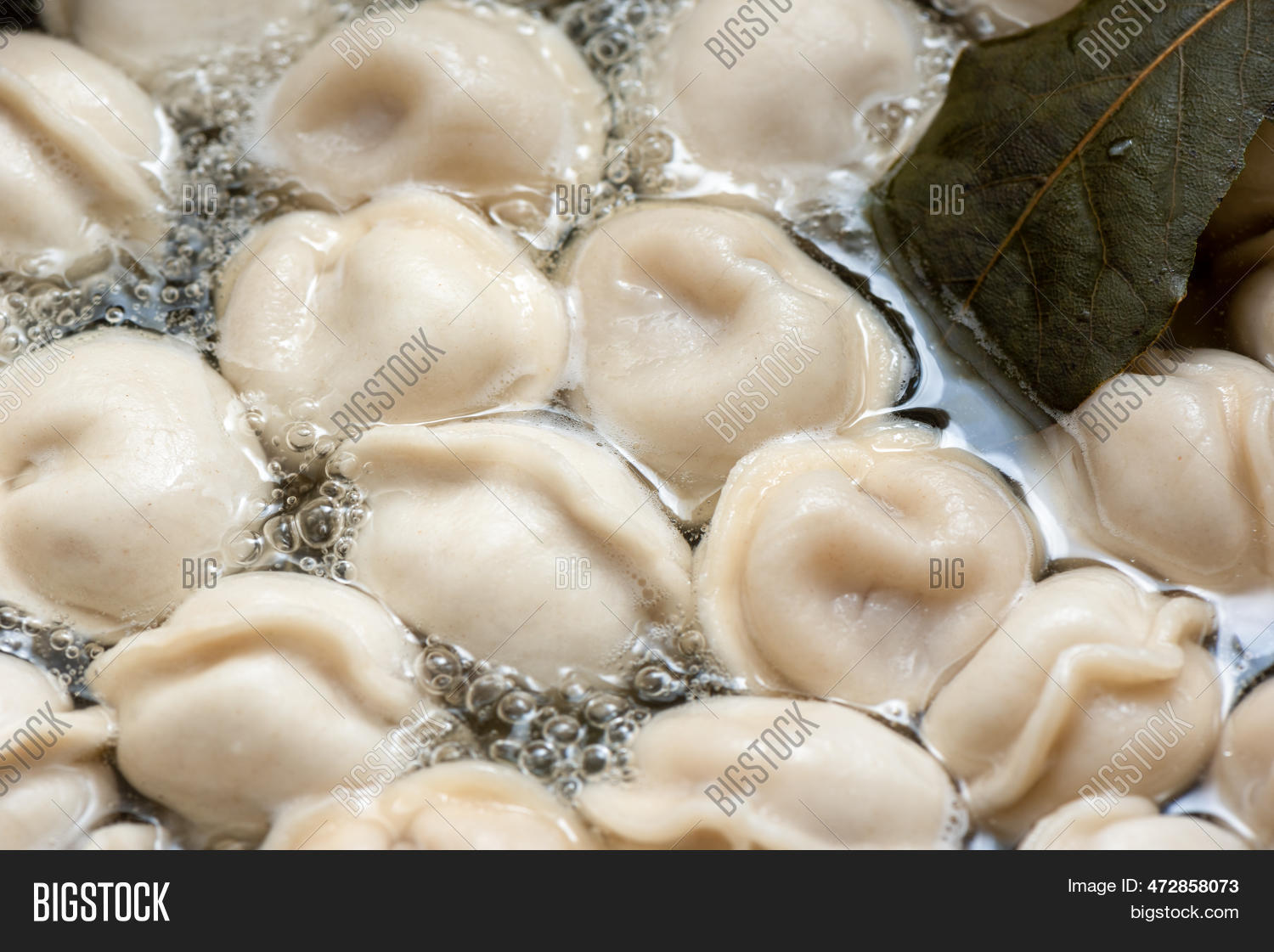 Full Frame Dumplings Image & Photo (Free Trial) | Bigstock