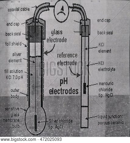 Ph Electrodes Diagram Image & Photo (Free Trial) | Bigstock