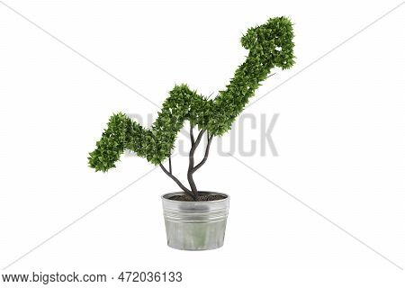 Plant Pot Cut Shape Image & Photo (Free Trial) | Bigstock