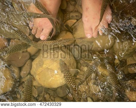 Fish Pedicure Image & Photo (Free Trial) | Bigstock
