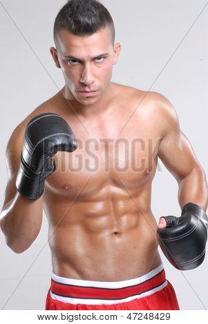 Strong Boxer Portrait Image & Photo (Free Trial) | Bigstock