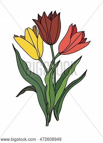 Tulip April Birth Vector & Photo (Free Trial) | Bigstock