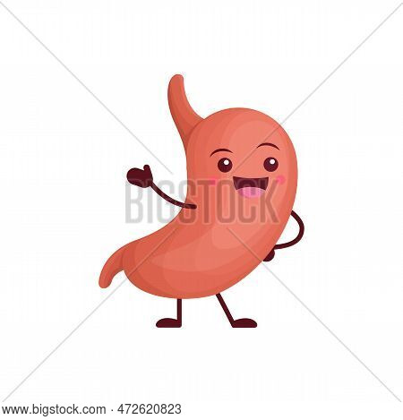 Cartoon Stomach Human Vector & Photo (Free Trial) | Bigstock